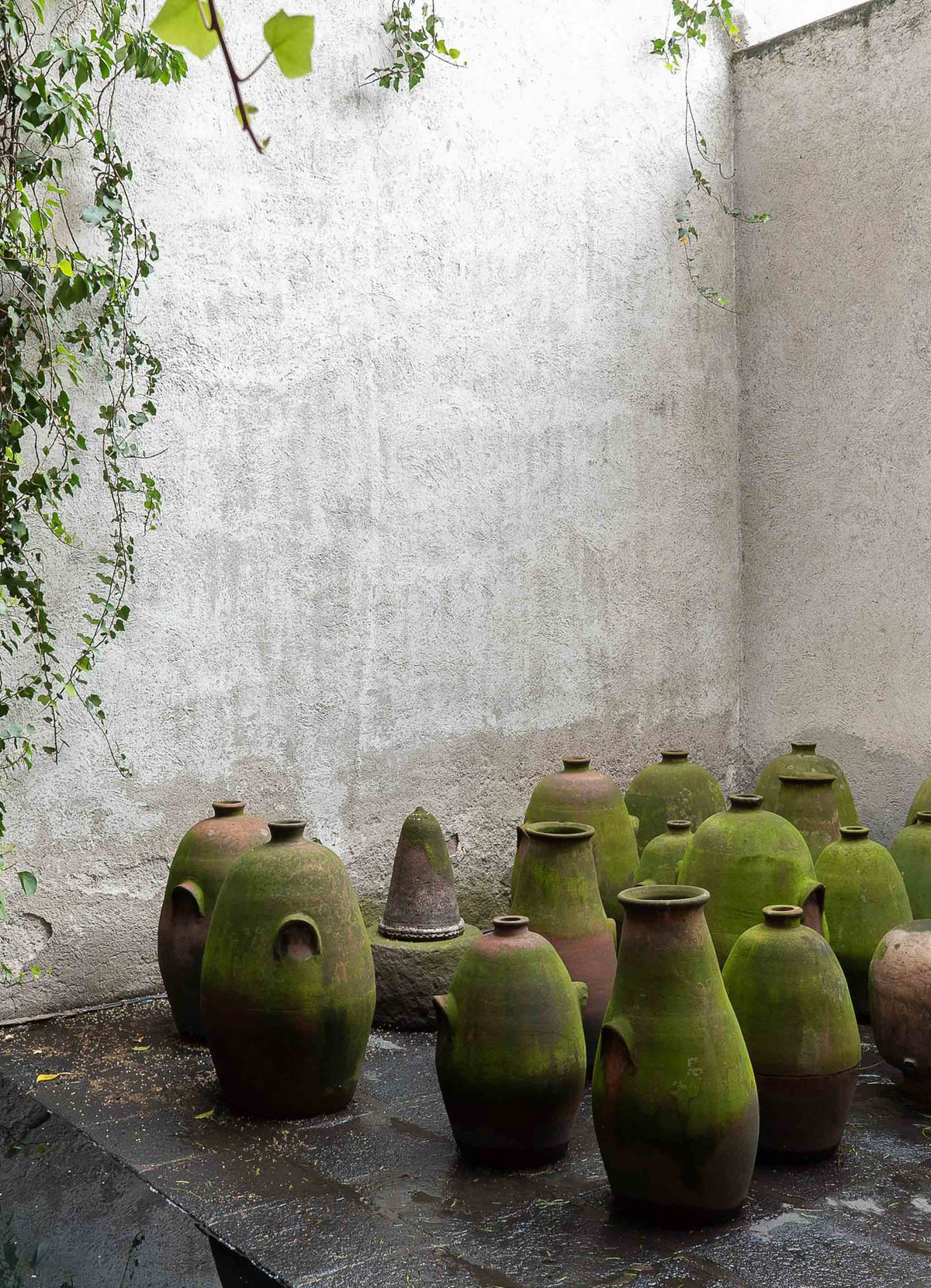 MASON STUDIO & THE FUTURE GAZE